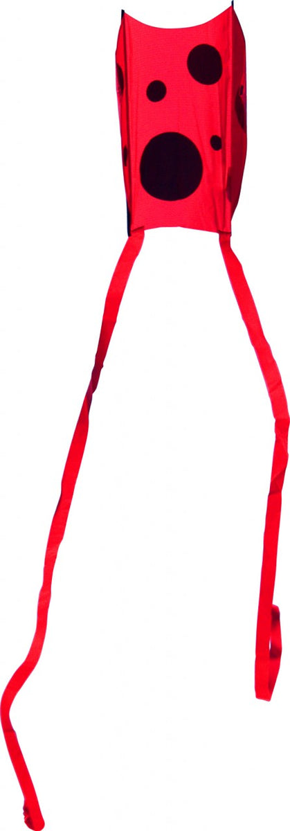 LadyBug Super Sled – Flying Smiles Kites