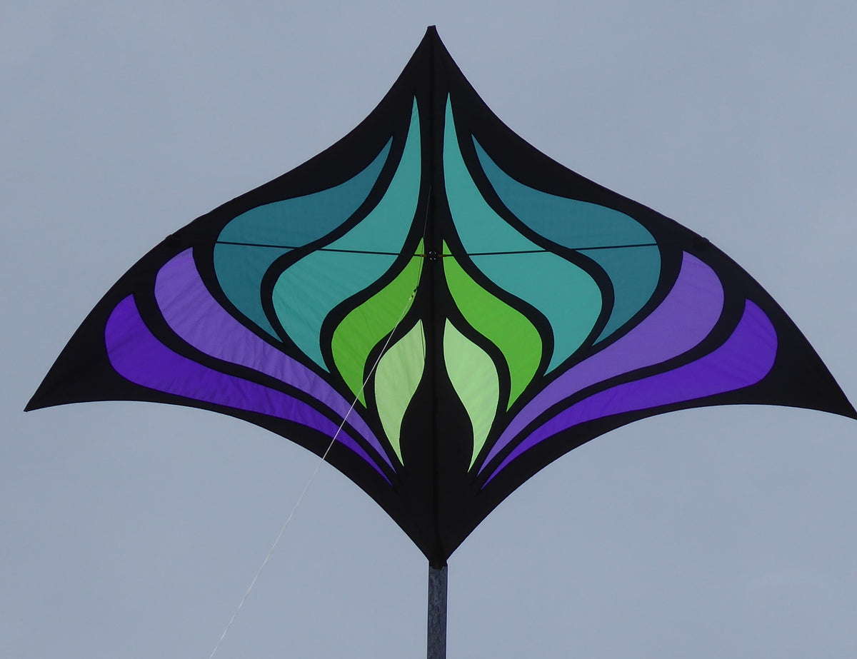 Ray Kite – Flying Smiles Kites