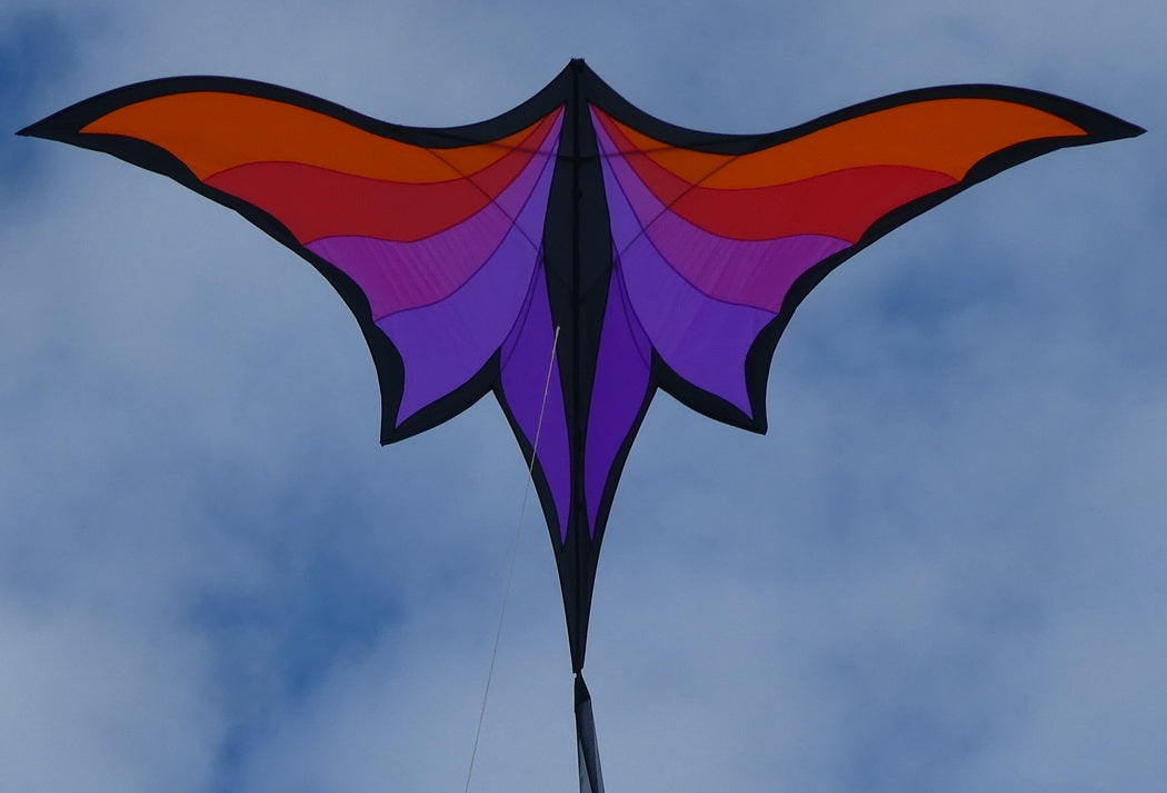 Ravenswing – Flying Smiles Kites